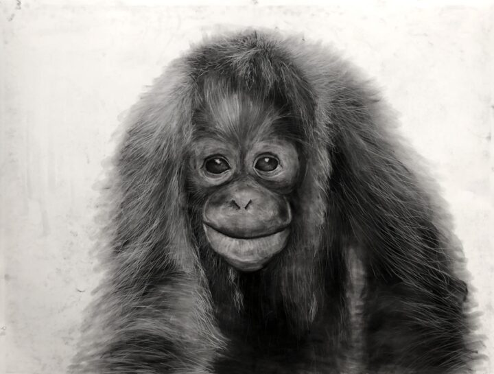 Student Work - Art and Art History - Macalester College