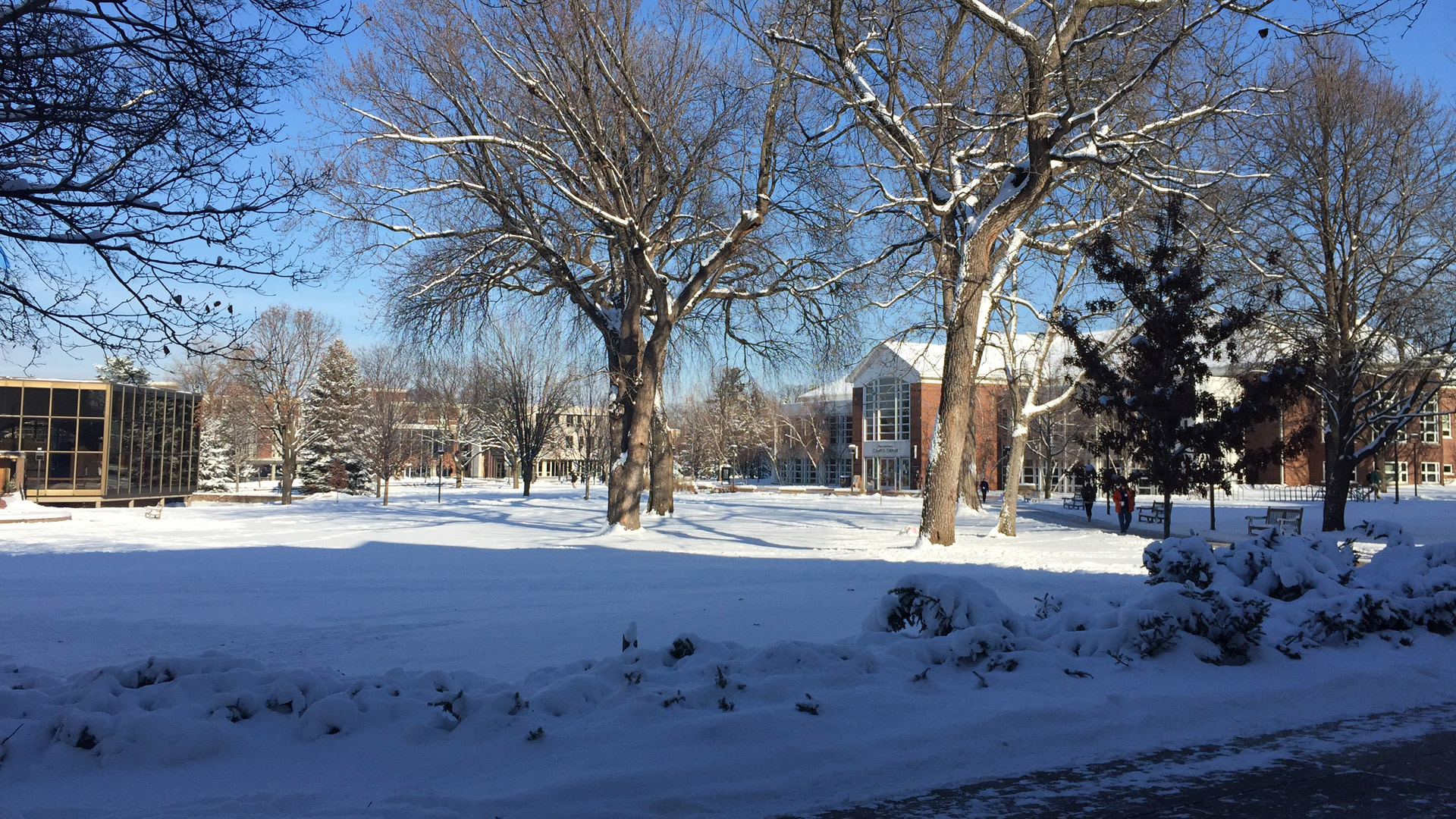 Macalester College Campus Winter
