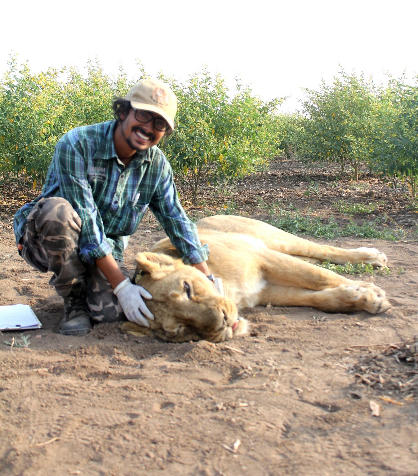 Animal Behavior - News - News - Macalester College