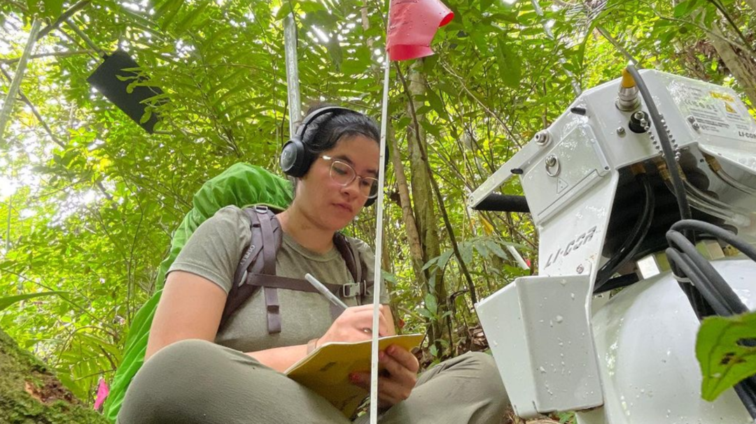 Research to better understand greenhouse gases - News - News ...