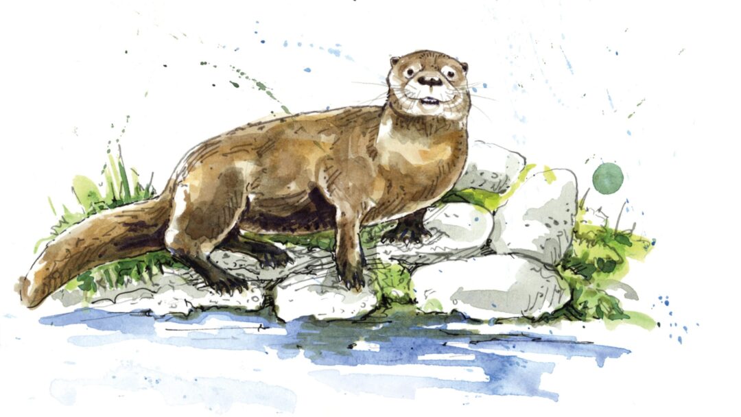 An Annotated Field Guide to the Katharine Ordway Natural History Study ...