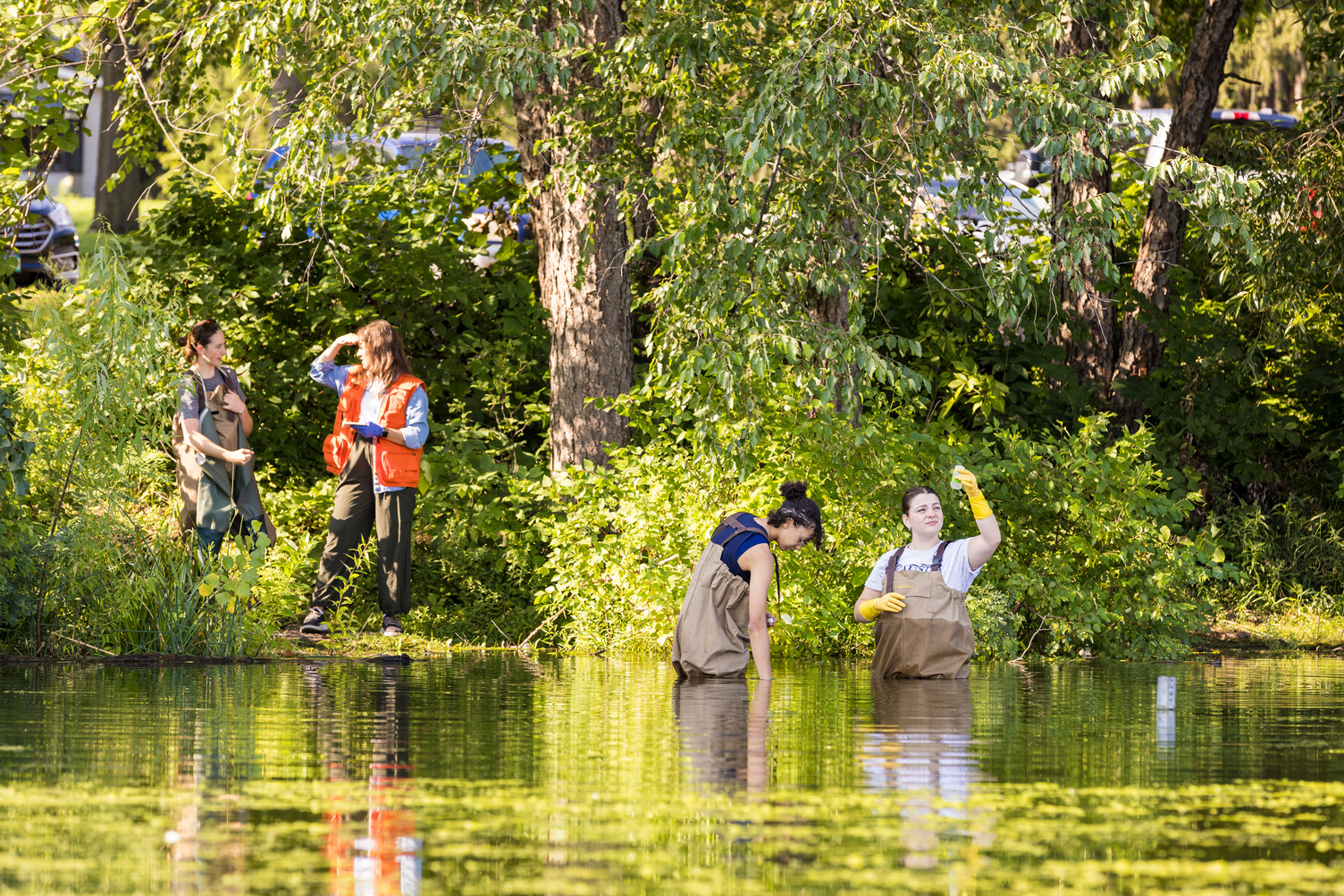 The Ripple Effect of Redlining - News - News - Macalester College