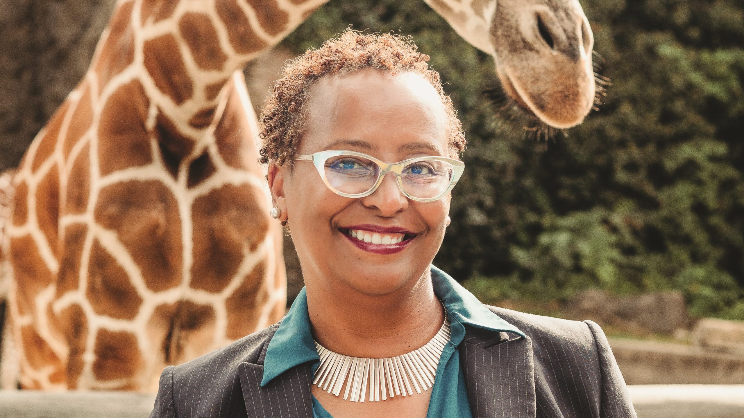 Lions and Tigers—and Pigeons - News - News - Macalester College