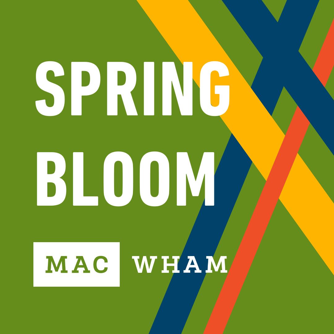 Wellness and Health at Macalester - Macalester College